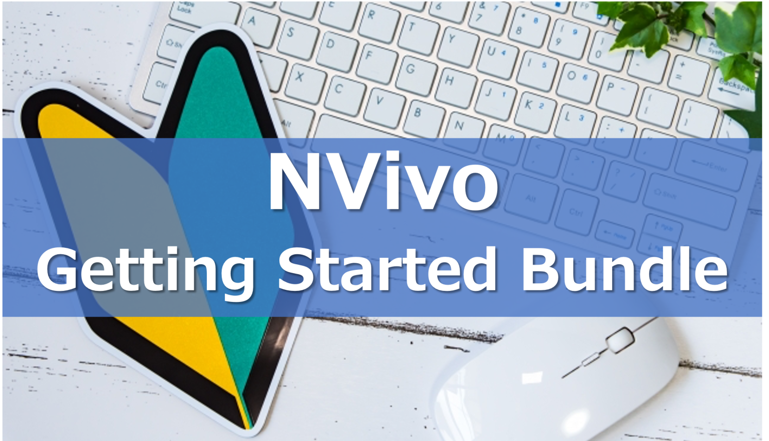 〔2025.4.30終了〕NVivo Getting Started Bundle提供開始 | 質的データ分析研究会
